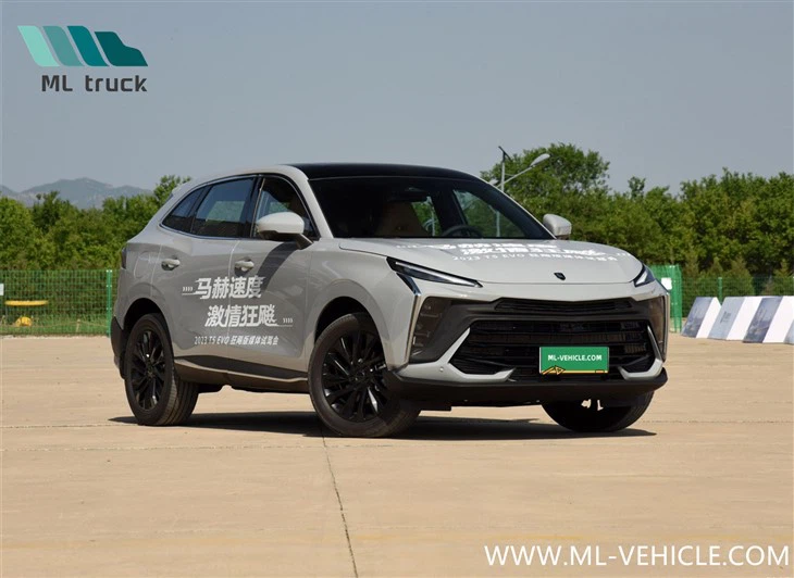 Precio bajo de China DongFeng Forthing T5 EVO - Servicio personalizado